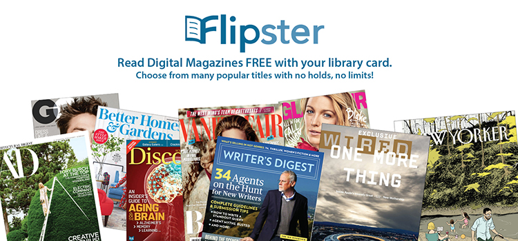 Delaware Division of Libraries - State of Delaware - Providing ...